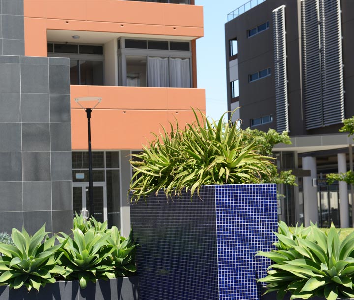 Strata Management Services - Sydney & NSW | Netstrata